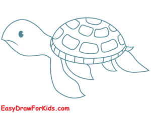 How To Draw A Turtle – 6 Ways (With Pictures)