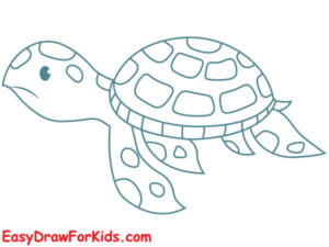 How To Draw A Turtle – 6 Ways (With Pictures)