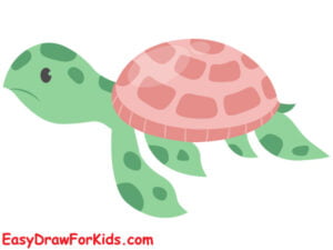 How To Draw A Turtle – 6 Ways (With Pictures)