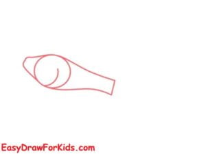 How To Draw A Fish - 14 Ways (With Pictures)