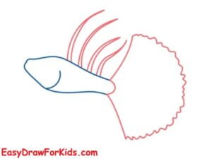 How To Draw A Fish - 14 Ways (With Pictures)