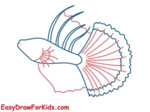 How To Draw A Fish - 14 Ways (With Pictures)