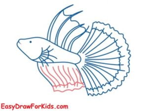 How To Draw A Fish - 14 Ways (With Pictures)
