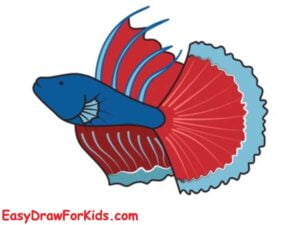 How To Draw A Fish - 14 Ways (With Pictures)