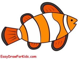 How To Draw A Fish - 14 Ways (With Pictures)