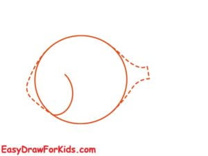 How To Draw A Fish - 14 Ways (With Pictures)