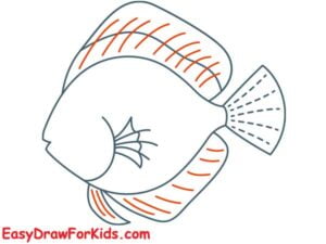 How To Draw A Fish - 14 Ways (With Pictures)