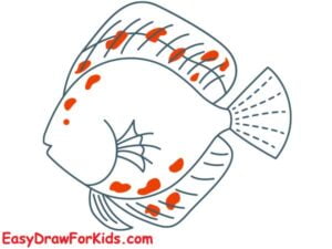 How To Draw A Fish - 14 Ways (With Pictures)
