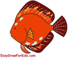 How To Draw A Fish - 14 Ways (With Pictures)