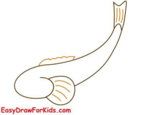 How To Draw A Fish - 14 Ways (With Pictures)