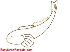 How To Draw A Fish - 14 Ways (With Pictures)