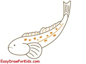 How To Draw A Fish - 14 Ways (With Pictures)