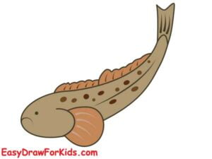 How To Draw A Fish - 14 Ways (With Pictures)