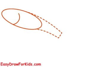 How To Draw A Fish - 14 Ways (With Pictures)
