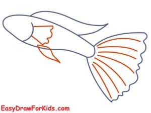 How To Draw A Fish - 14 Ways (With Pictures)