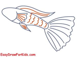 How To Draw A Fish - 14 Ways (With Pictures)