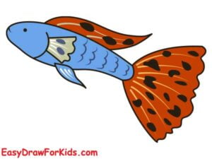 How To Draw A Fish - 14 Ways (With Pictures)