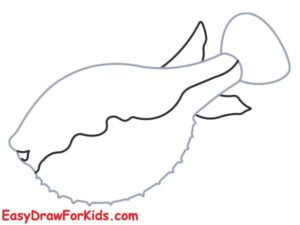 How To Draw A Fish - 14 Ways (With Pictures)
