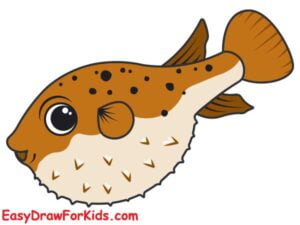 How To Draw A Fish - 14 Ways (With Pictures)