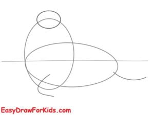How To Draw A Walrus - 9 Ways (With Pictures)