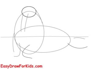 How To Draw A Walrus - 9 Ways (With Pictures)