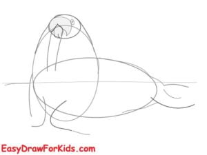 How To Draw A Walrus - 9 Ways (With Pictures)