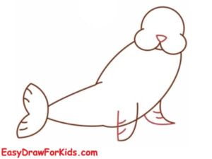How To Draw A Walrus - 9 Ways (With Pictures)