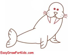 How To Draw A Walrus - 9 Ways (With Pictures)