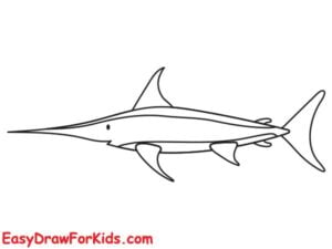 How To Draw A Fish - 14 Ways (With Pictures)