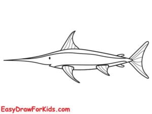 How To Draw A Fish - 14 Ways (With Pictures)