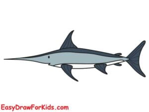 How To Draw A Fish - 14 Ways (With Pictures)