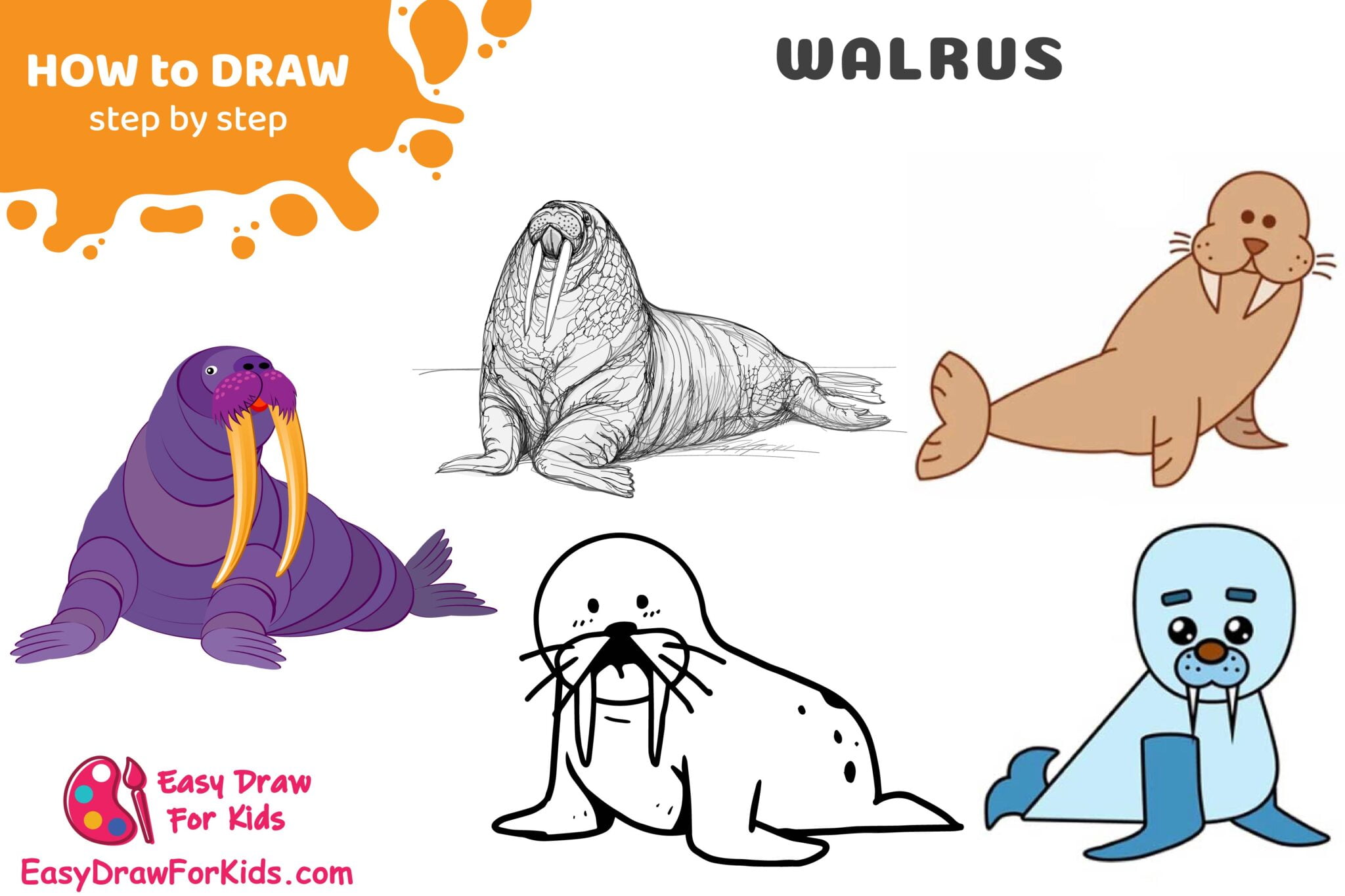 How To Draw A Walrus - 9 Ways (With Pictures)