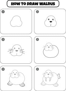 How To Draw A Walrus - 9 Ways (With Pictures)