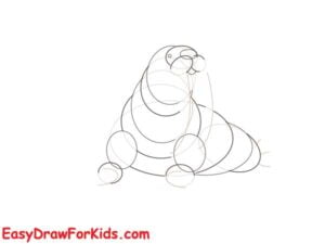 How To Draw A Walrus - 9 Ways (With Pictures)