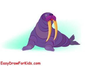 How To Draw A Walrus - 9 Ways (With Pictures)