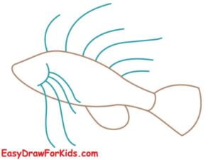 How To Draw A Fish - 14 Ways (With Pictures)