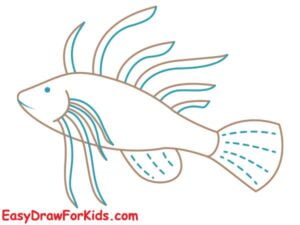 How To Draw A Fish - 14 Ways (With Pictures)