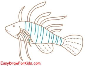 How To Draw A Fish - 14 Ways (With Pictures)