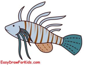 How To Draw A Fish - 14 Ways (With Pictures)