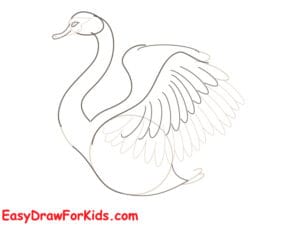 How To Draw A Swan - 3 Ways (With Pictures)