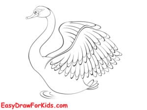 How To Draw A Swan - 3 Ways (With Pictures)