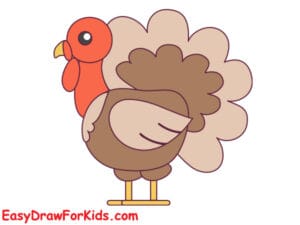 How To Draw A Turkey - 4 Ways (With Pictures)