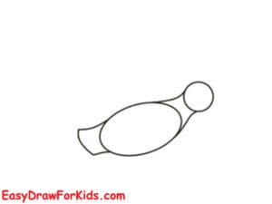 How To Draw A Pigeon - 3 Ways (With Pictures)