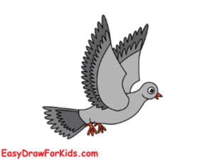 How To Draw A Pigeon - 3 Ways (With Pictures)