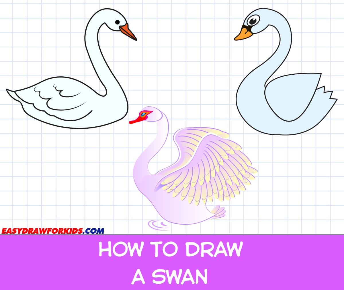 How To Draw A Swan - 3 Ways (With Pictures)