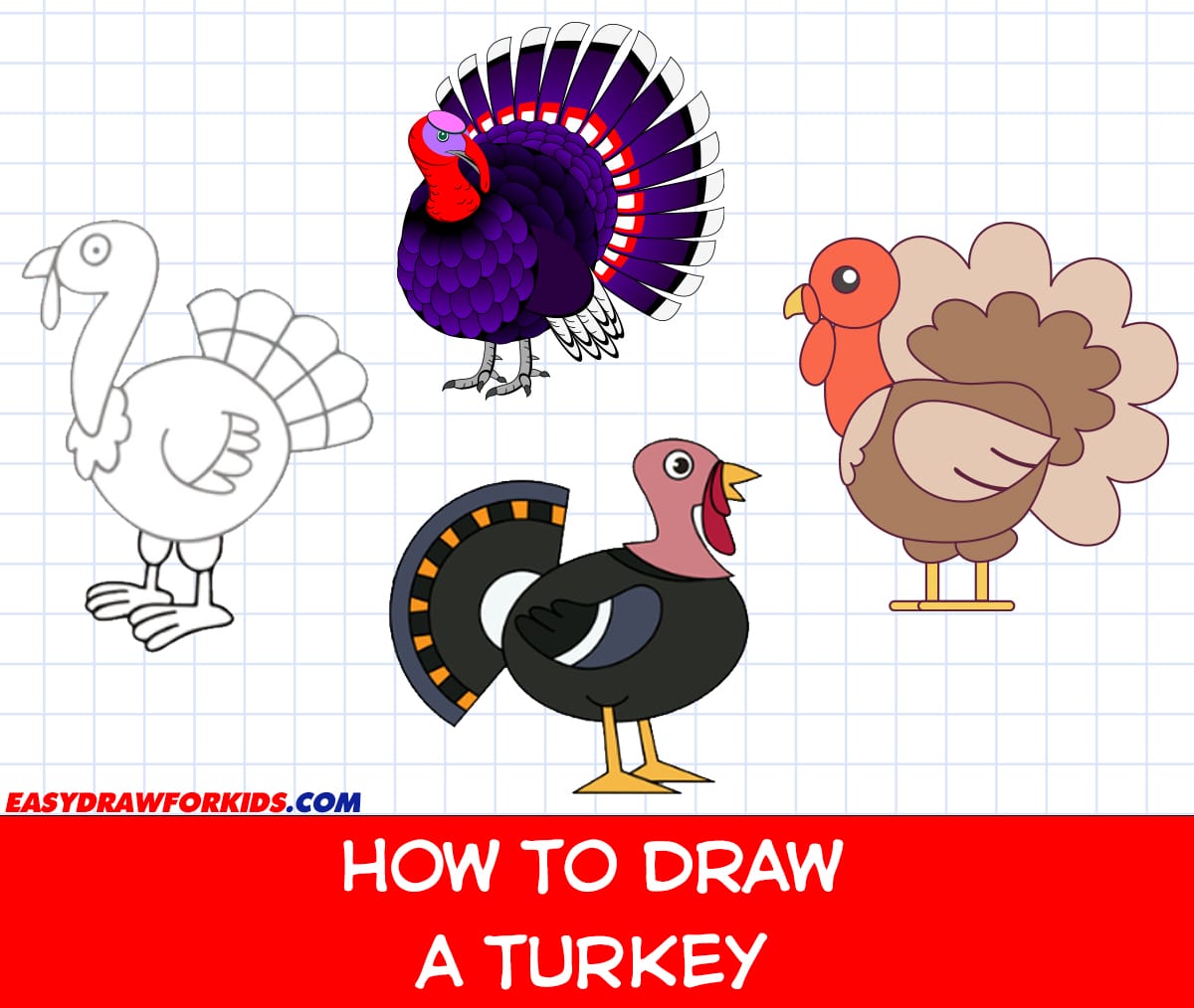 How To Draw A Turkey - 4 Ways (With Pictures)