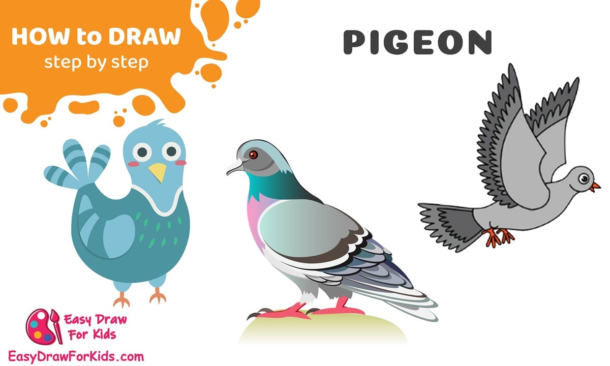 How To Draw A Pigeon - 3 Ways (With Pictures)
