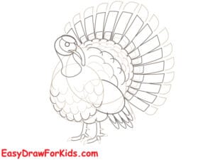 How To Draw A Turkey - 4 Ways (With Pictures)
