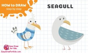 How To Draw A Seagull - 2 Ways (With Pictures)