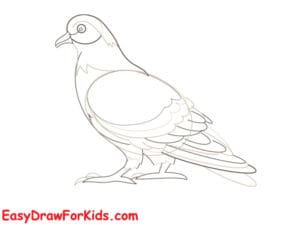 How To Draw A Pigeon - 3 Ways (With Pictures)